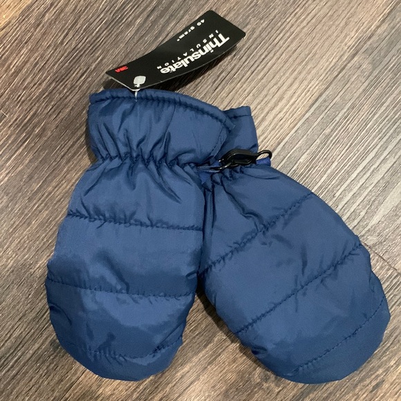 3M Thinsulate | Accessories | Nwt Thinsulate Blue Mittens Sz 24 | Poshmark